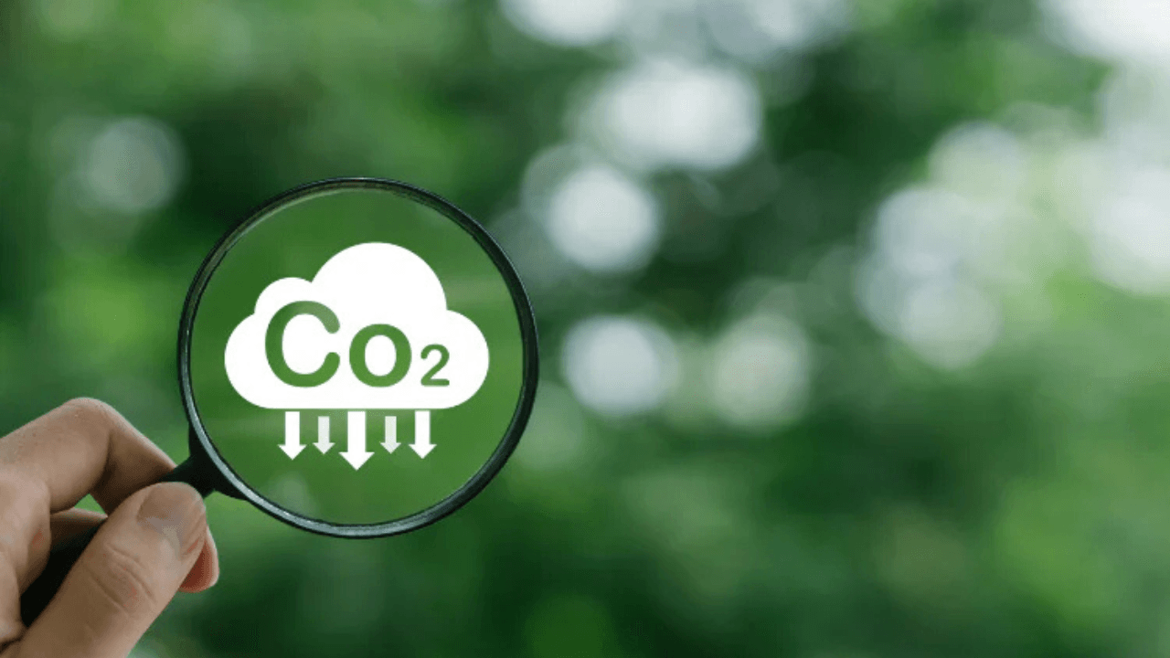 Pourquoi faire un bilan carbone pour son entreprise